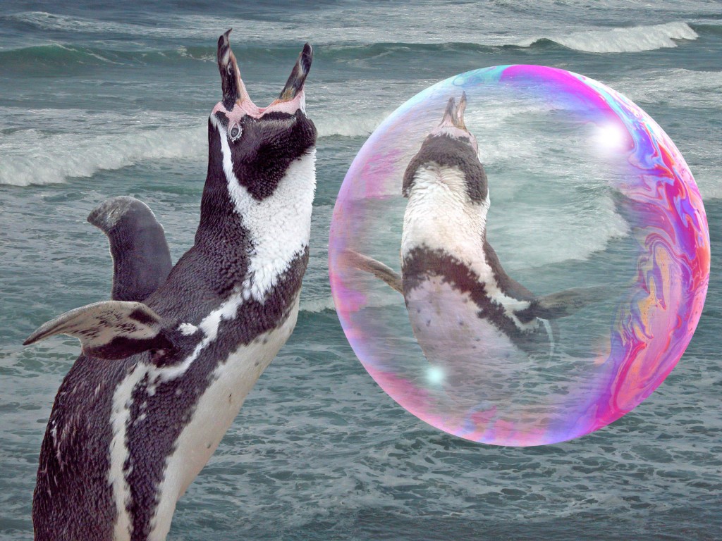 Soap bubble pictures | Optical Illusions